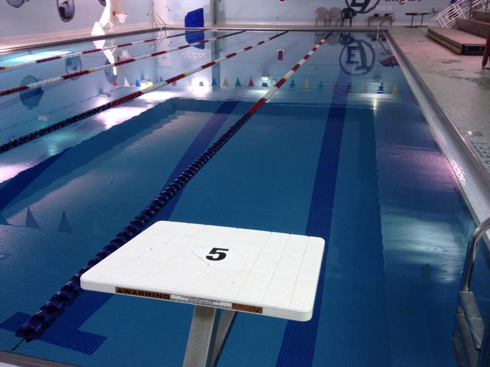 Northern Michigan Narwhals and Cruiser Swim Teams